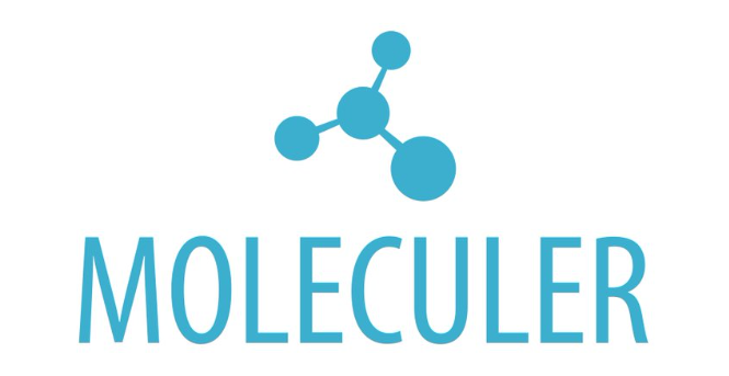 Moleculer 초기설정