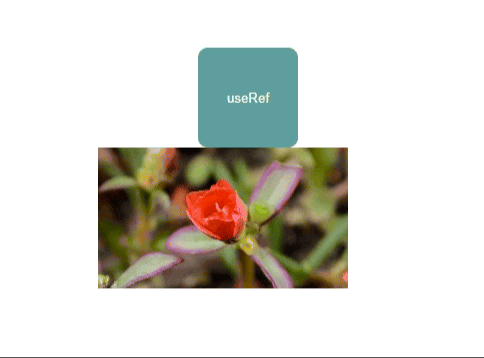 useRef