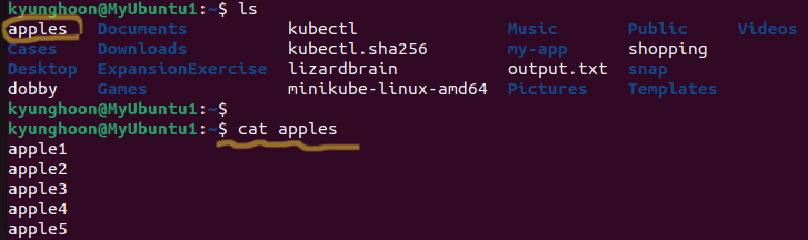 [Linux] 3. 파일 명령어 (cat, less, tac, rev)