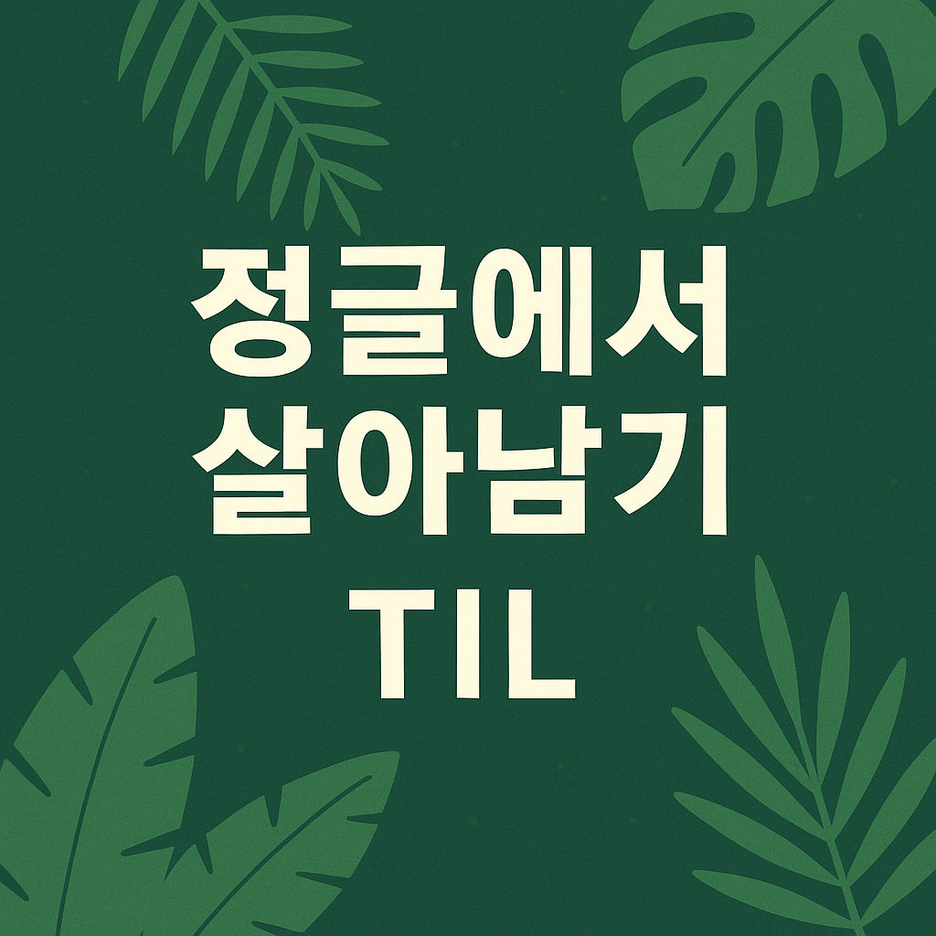 TIL - 2025.06.27 | malloc 구현을 위한 개념 학습