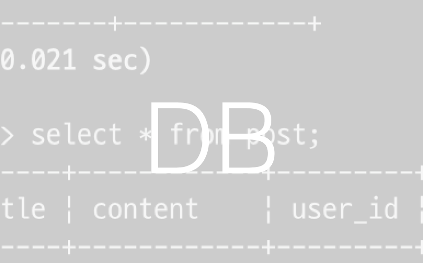 [DB] Attribute 정리