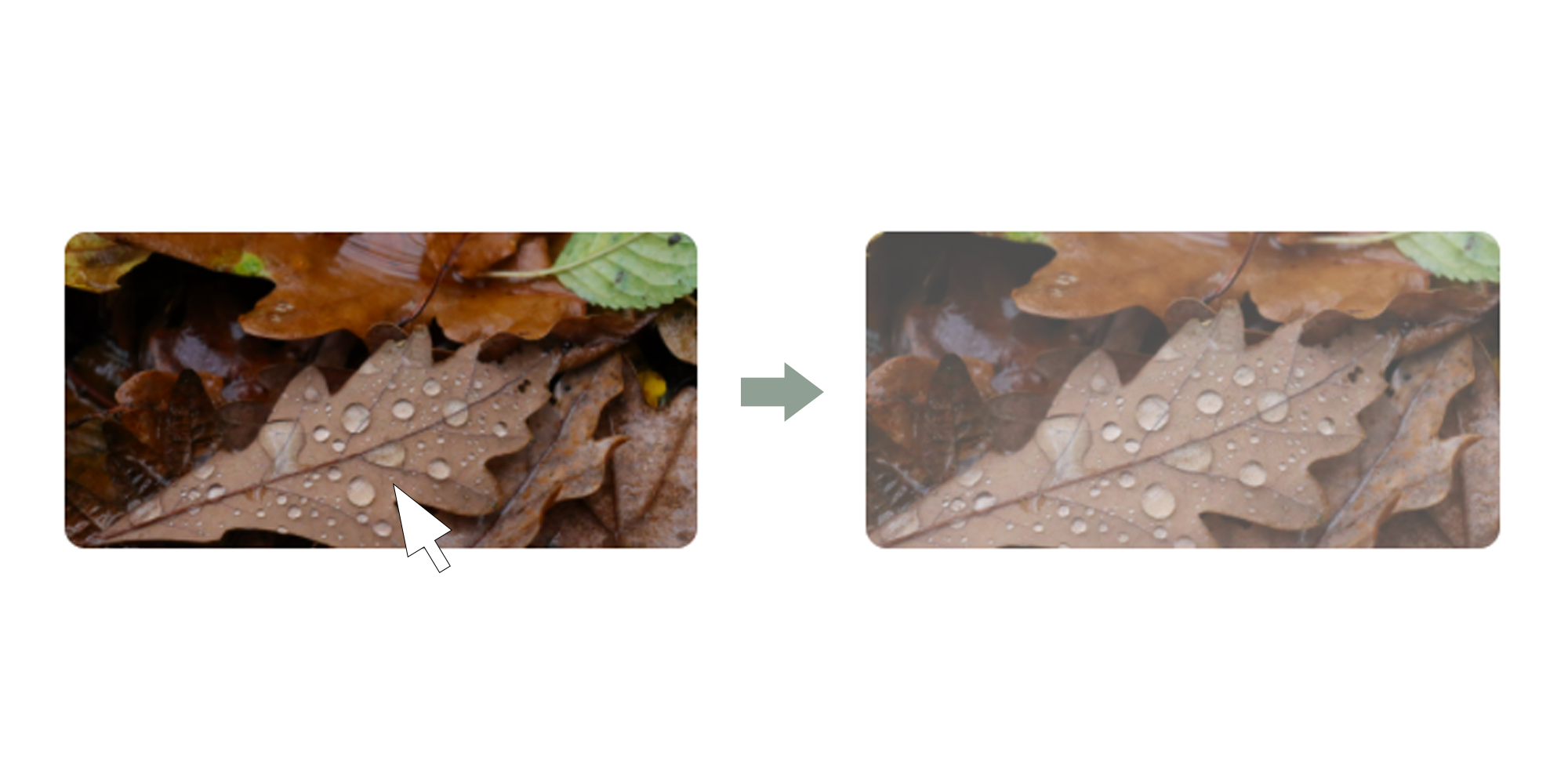 CSS - transition, transform을 이용한 효과