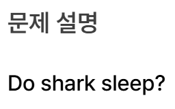 DreamHack_sleepingshark