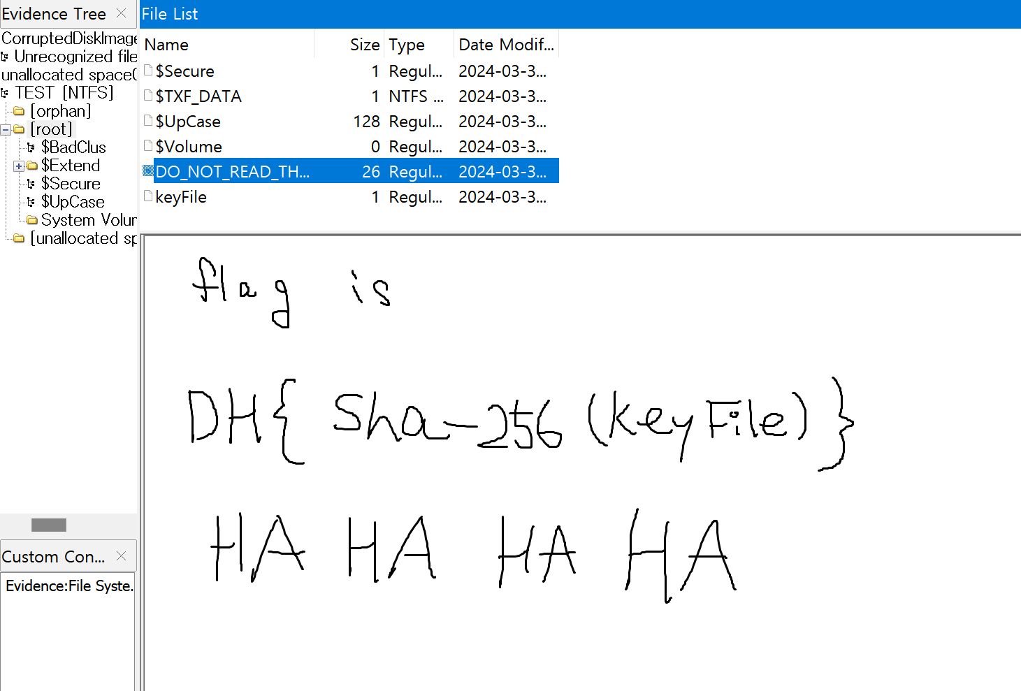 Dreamhack_Forensic_Corrupted Disk Image