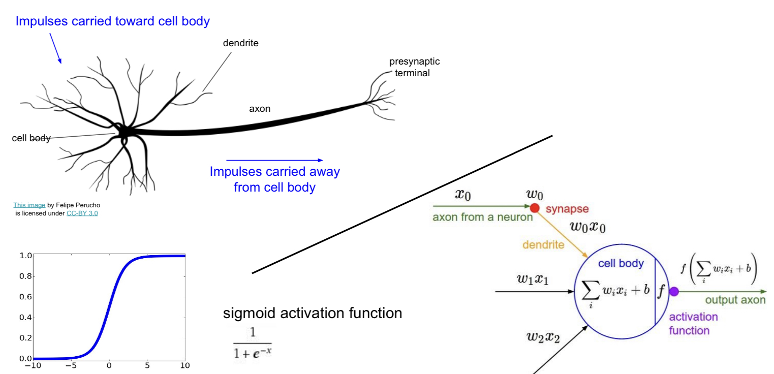 [CS231n] Lecture 4. Introduction to Neural Networks