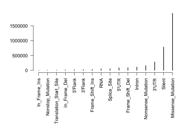 Coding Region Mutation 정리missense Nonsense Silent Frame Shift In Frame Mutation