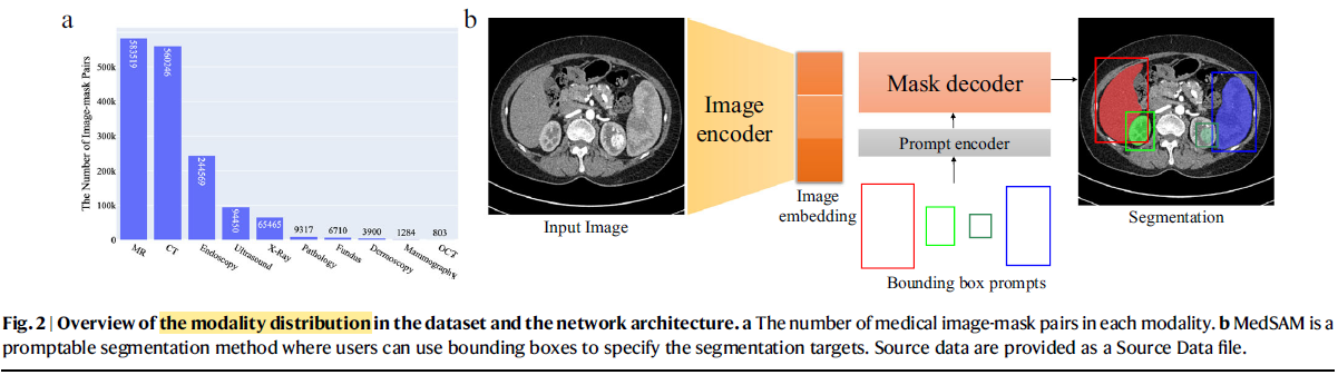 MedSAM 여러가지 방법들 (정리)