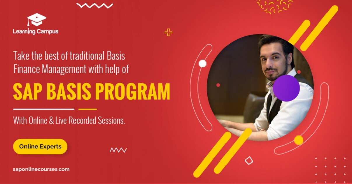 What are the Future Prospects in SAP Basis field?