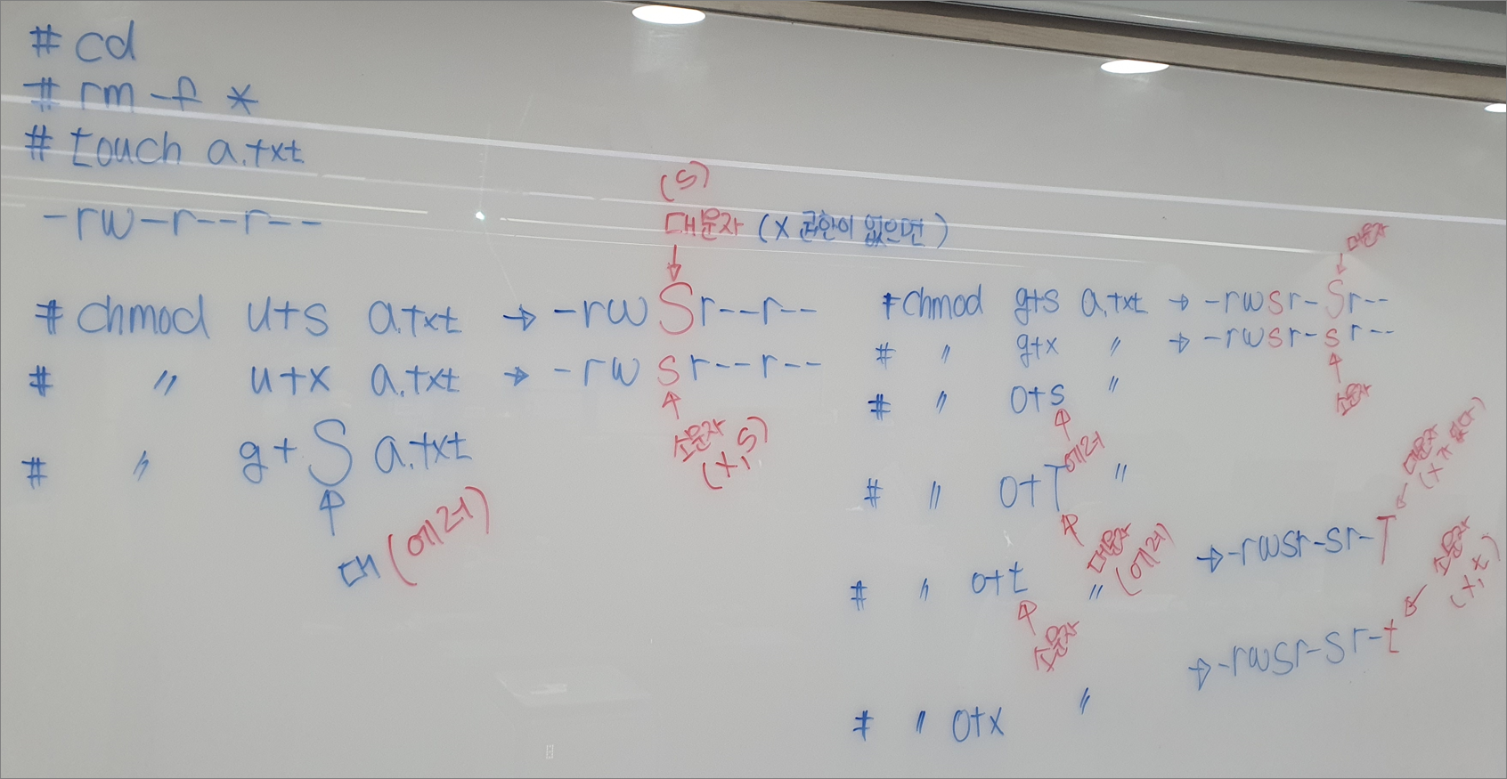 리눅스 그룹관리/사용자/소유자와 그룹변경/chown,chmod,특수권한,setuid (교육 29일차)