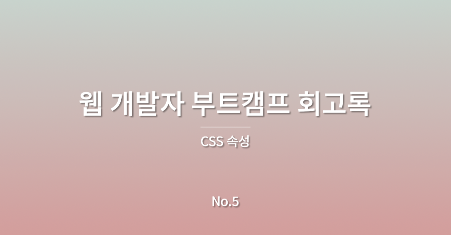 새싹x코딩온 웹 개발자 부트캠프 과정 회고록 No5