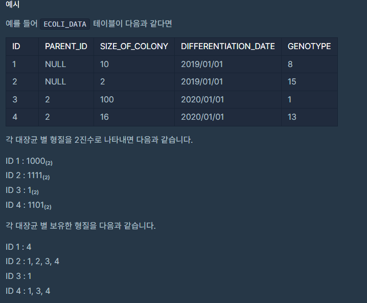 Programmers SQL 문제풀이(Lv.1) - 6