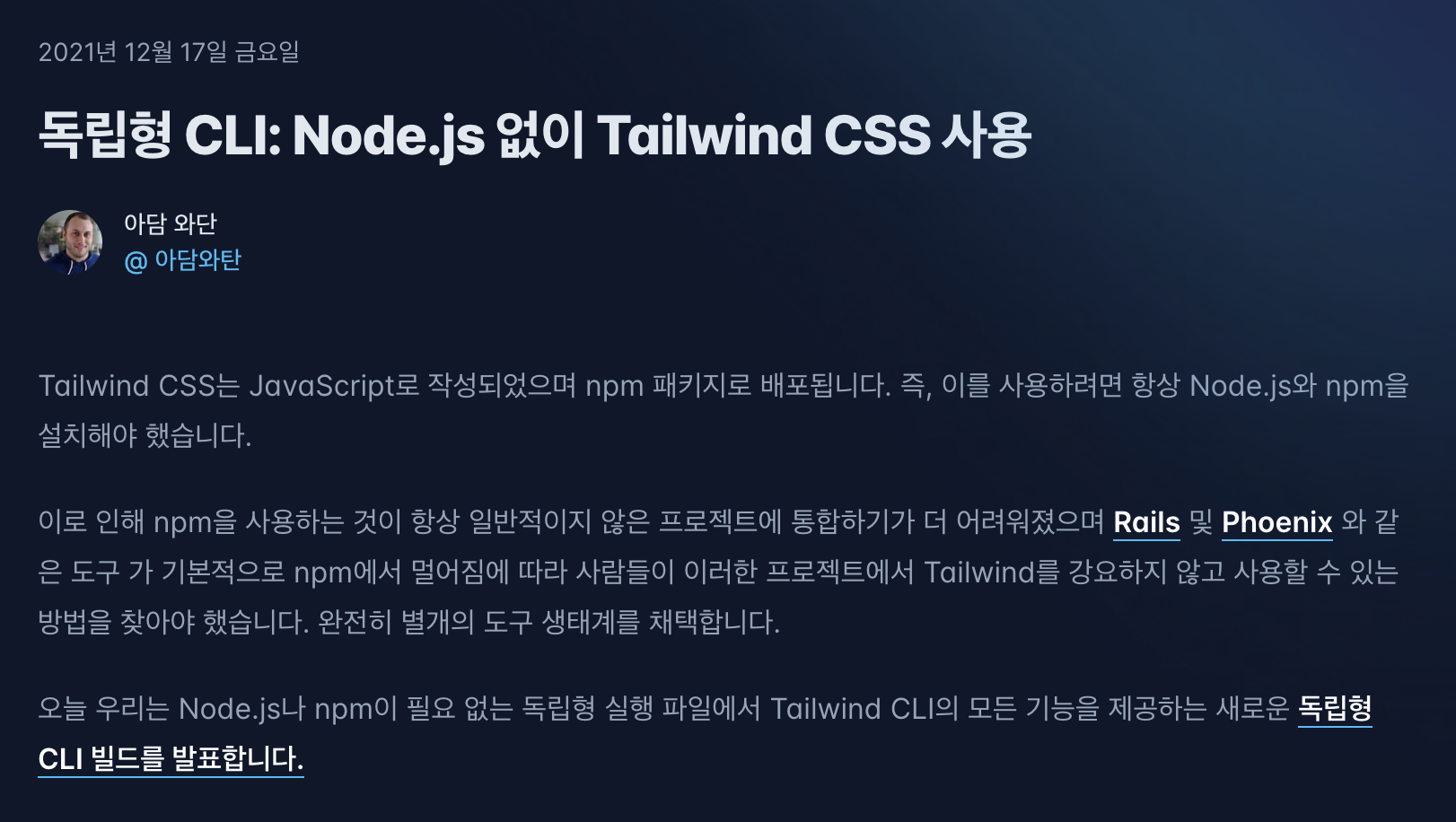 [TailwindCSS] Node.js 없이 tailwind를 사용해보자