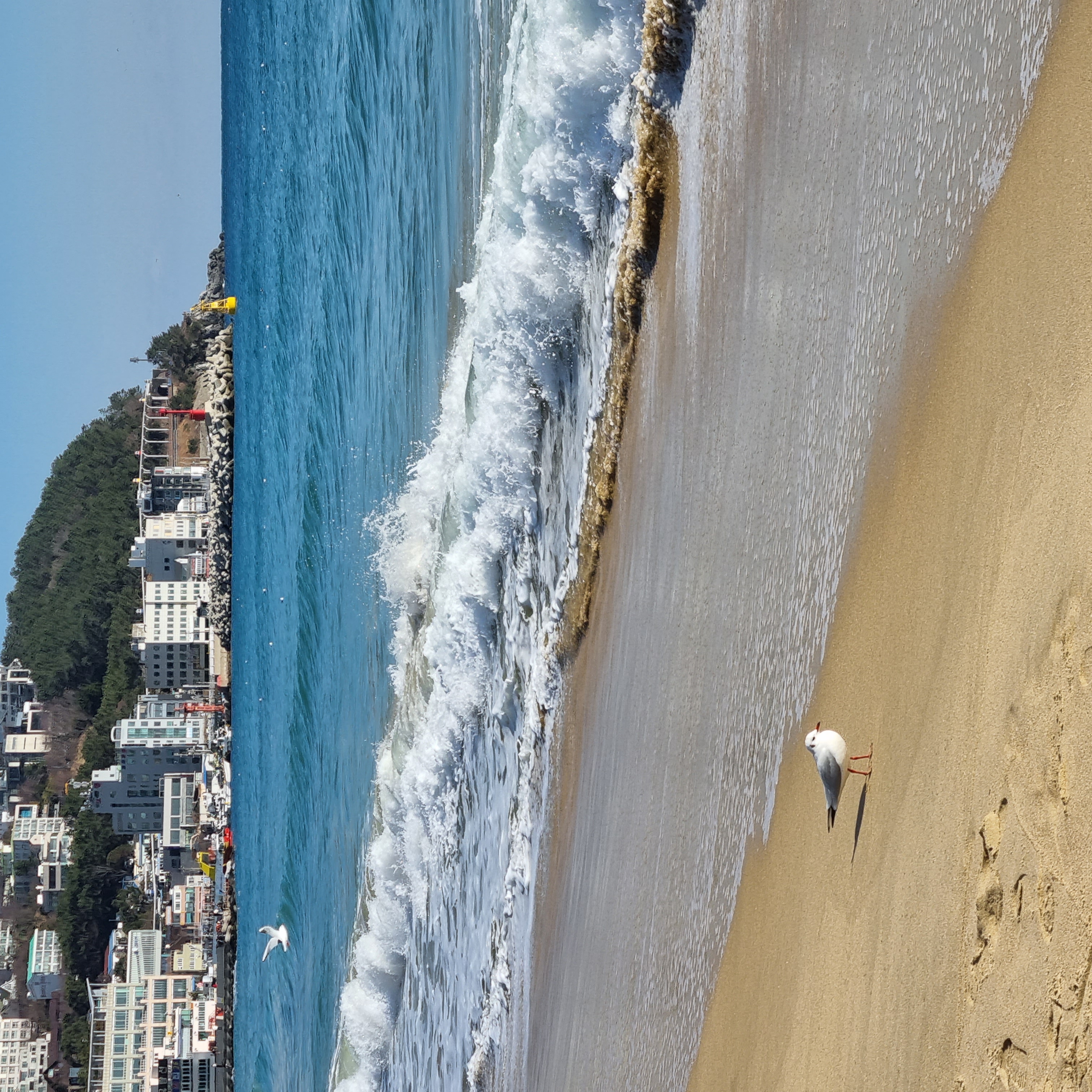 Velog(벨로그) 작성법 정리