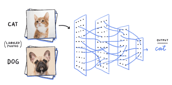 4. Linear Neural Networks for Classification
