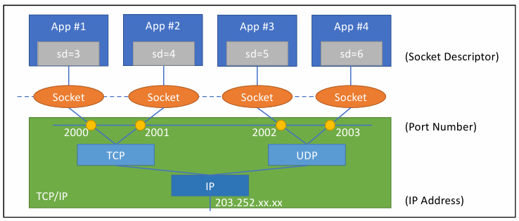 Socket Programming