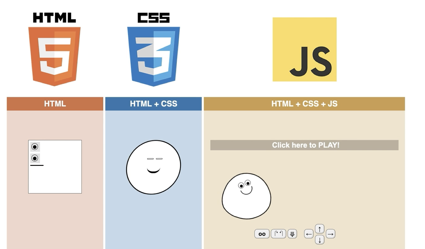 HTML,CSS 그리고 JS
