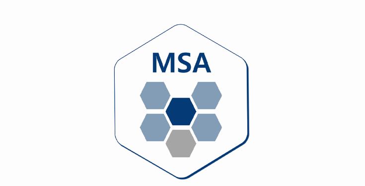 MSA란?