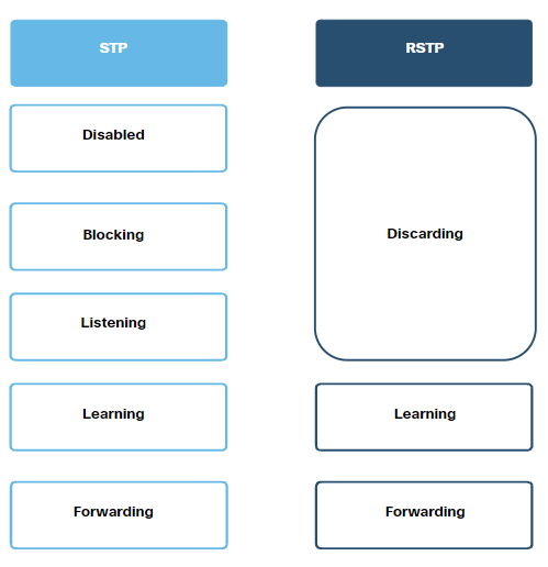 [컴퓨터 네트워크] 5장. STP