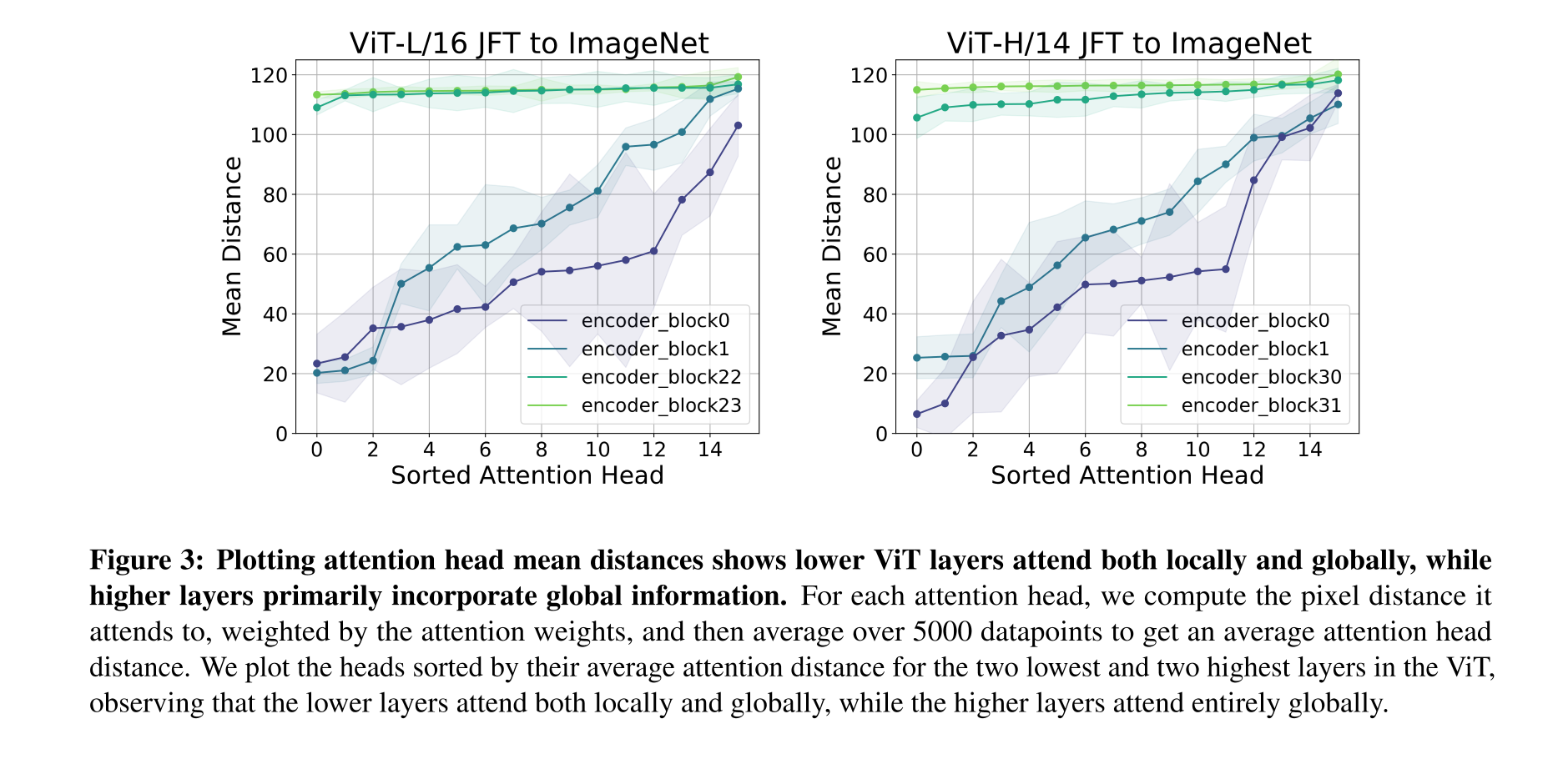 Do Vision Transformers See Like Convolutional Neural Networks