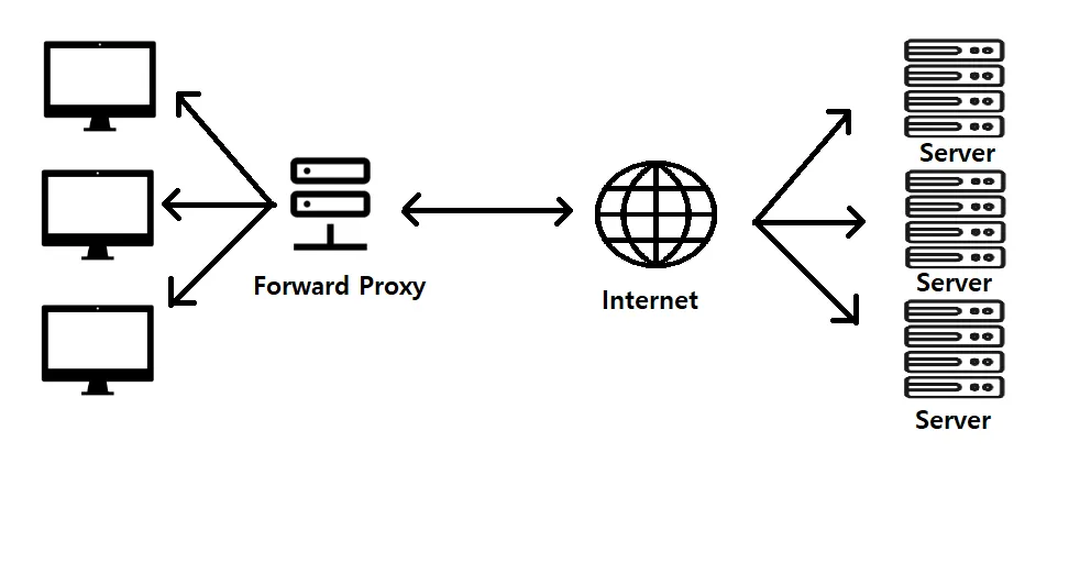 Server (Proxy, echo, Tiny)