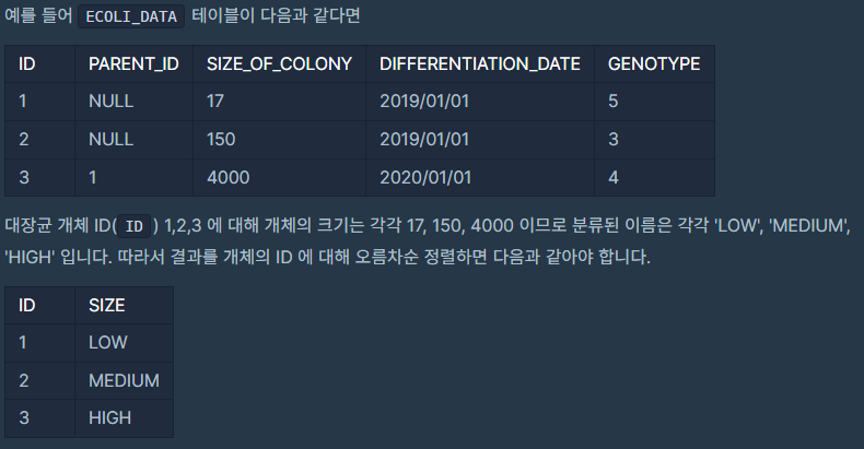 [Lv.3 / Programmers / SQL] 대장균의 크기에 따라 분류하기 1