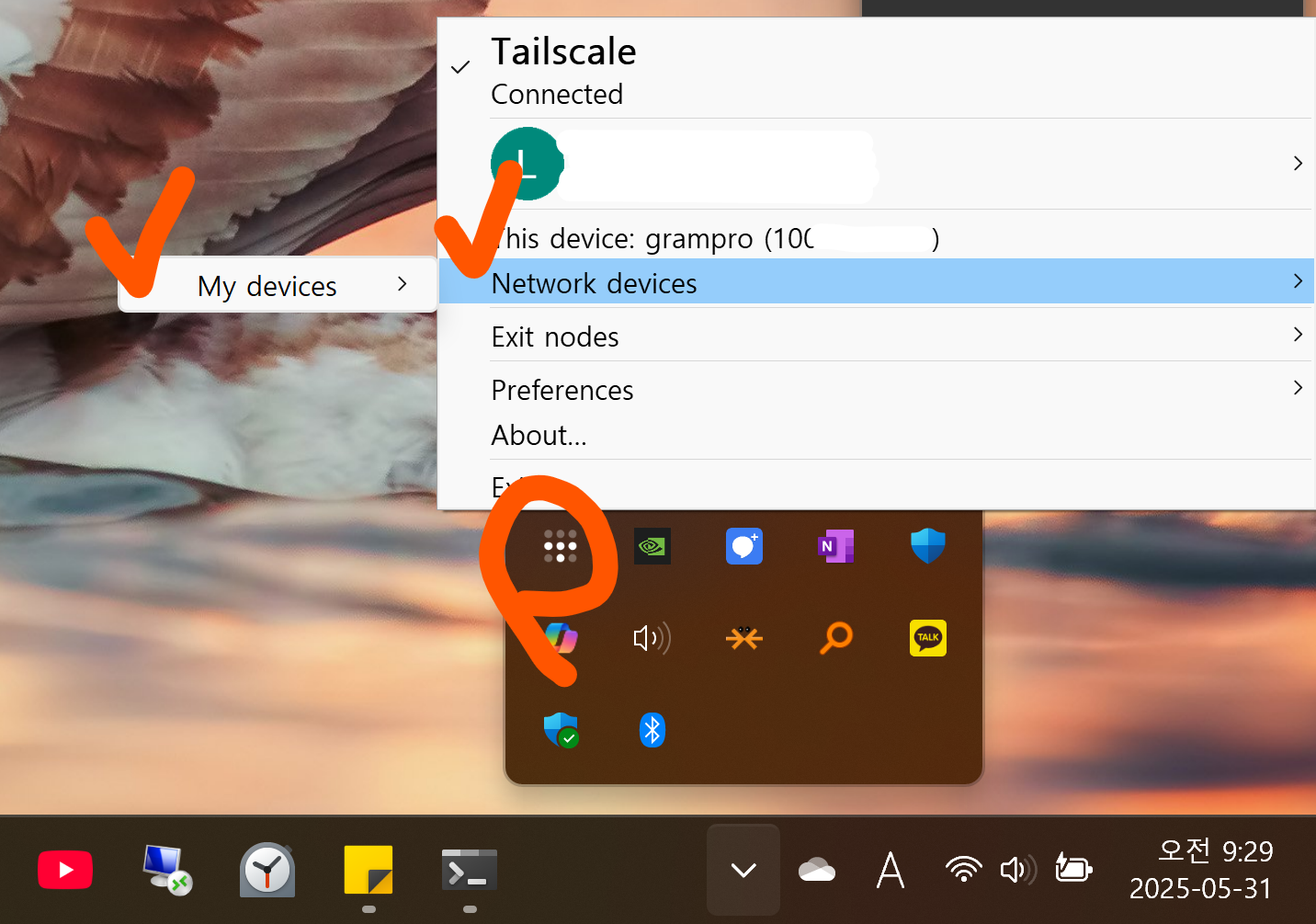 Tailscale 설치 및 설정 (ubuntu + windows + DNS + Https)