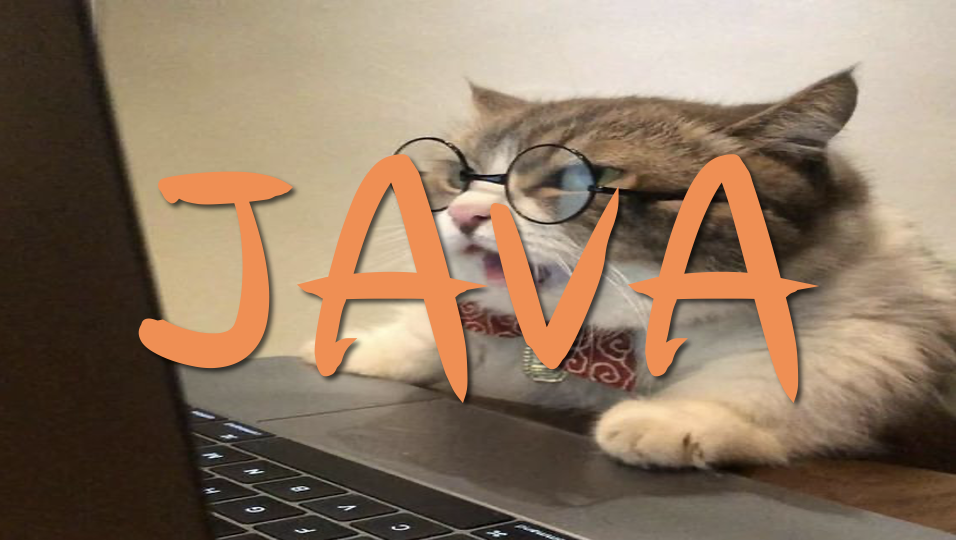 Java란?