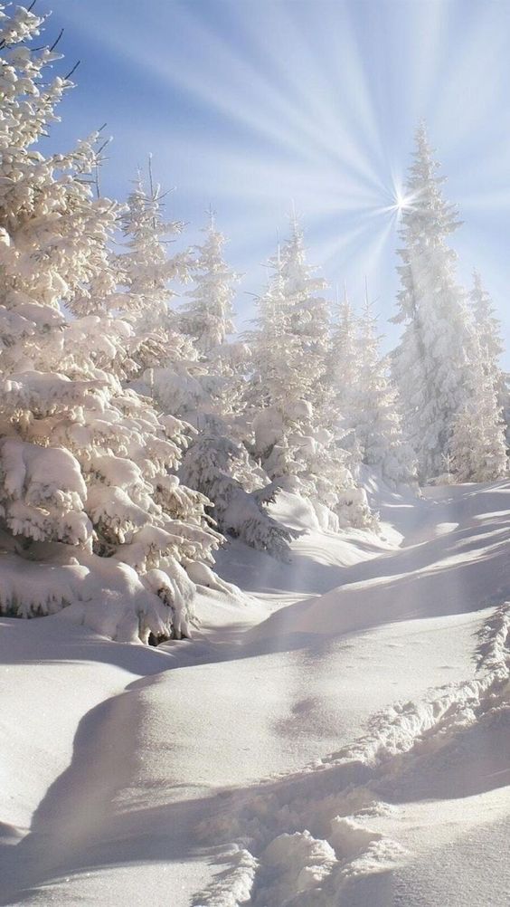 sienn-_-na (sienna) / 작성글 - velog