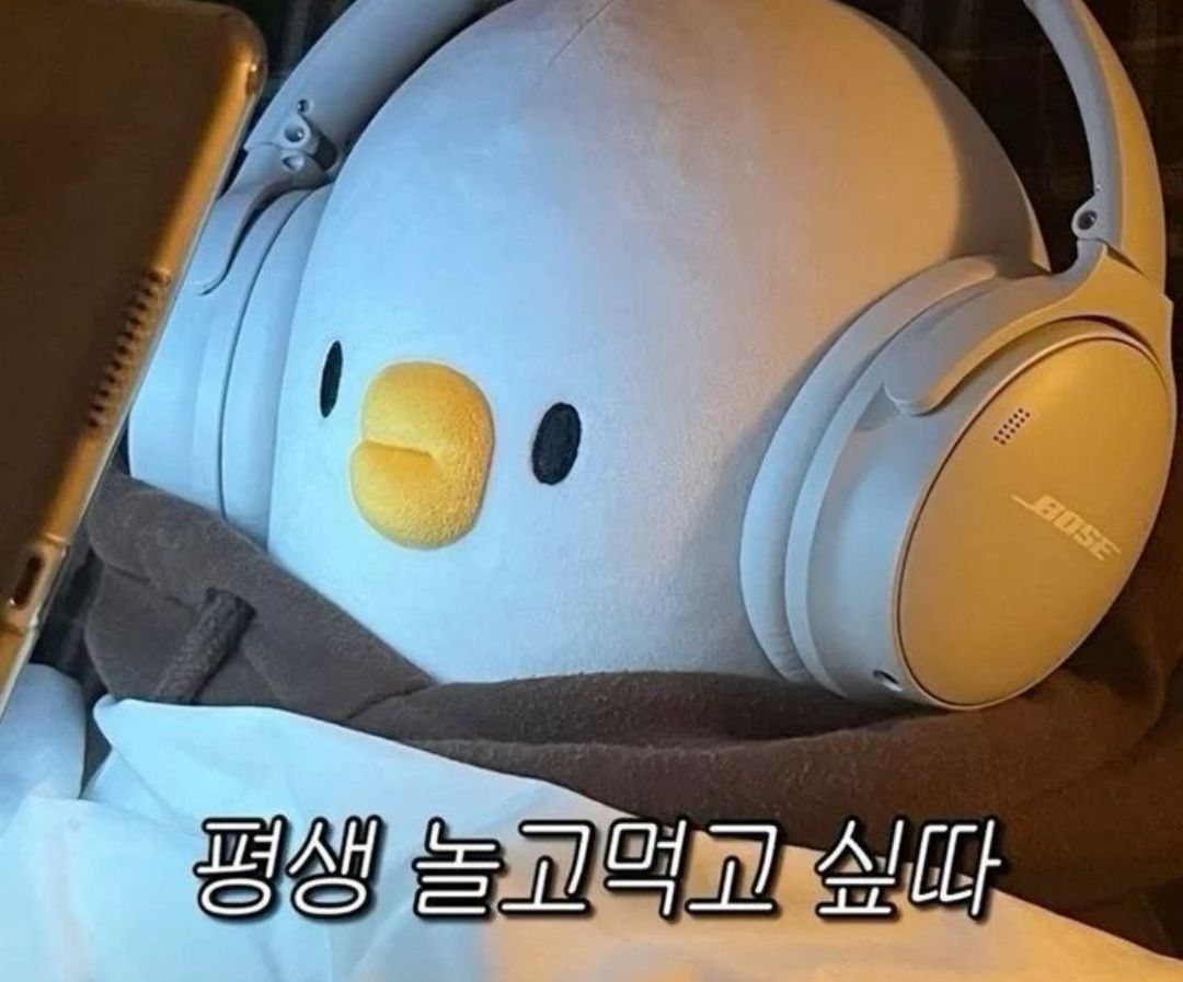 VScode Extension 모음