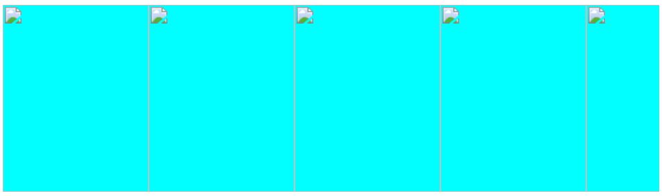 [TIL]2024.01.11 스크롤바 css