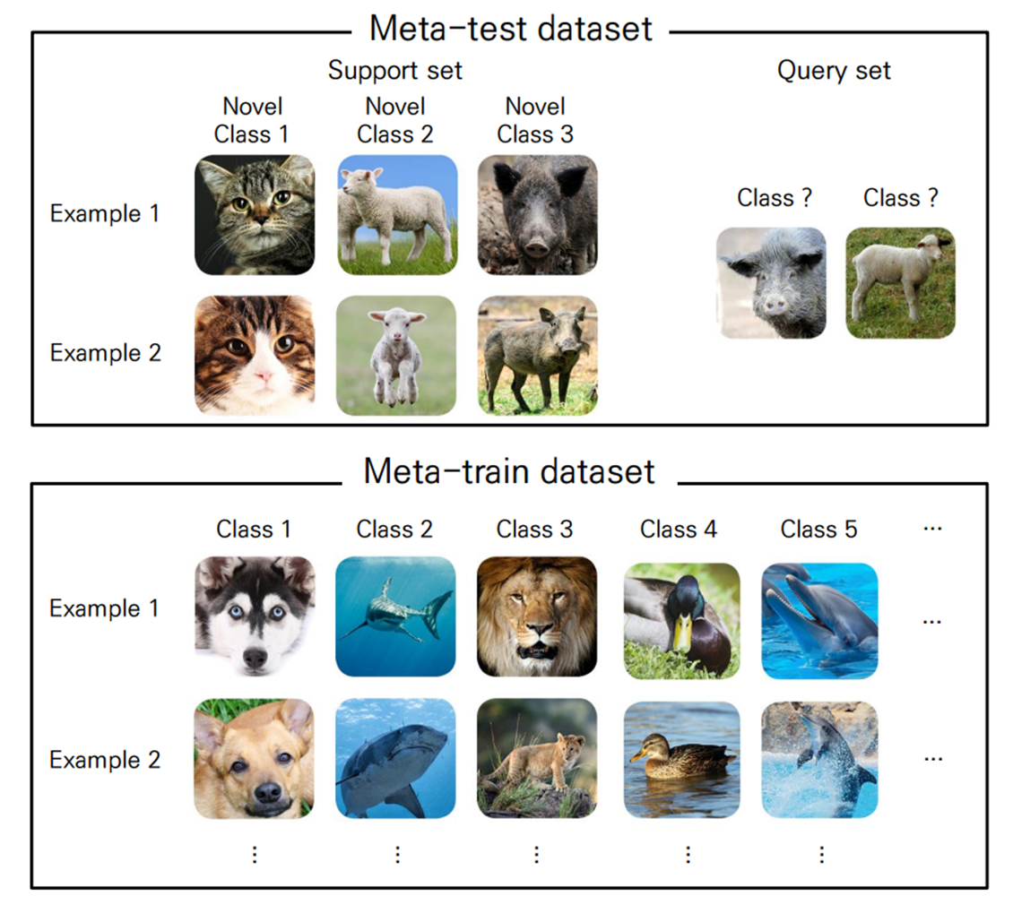 Introduction To Few Shot Learning And Meta Learning