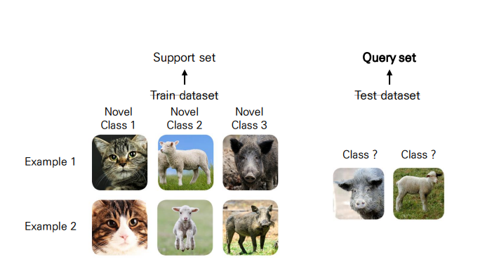 Introduction to Few-Shot Learning & Meta Learning