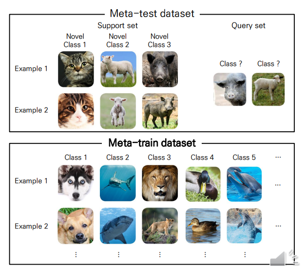 Introduction to Few-Shot Learning & Meta Learning