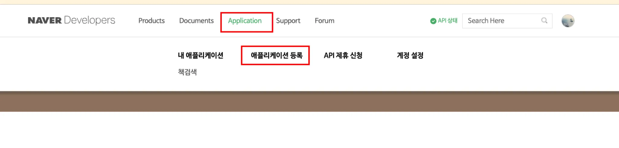 Flutter 네이버 책 검색 Open Api 활용하기
