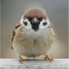 [Unity] Singleton Pattern