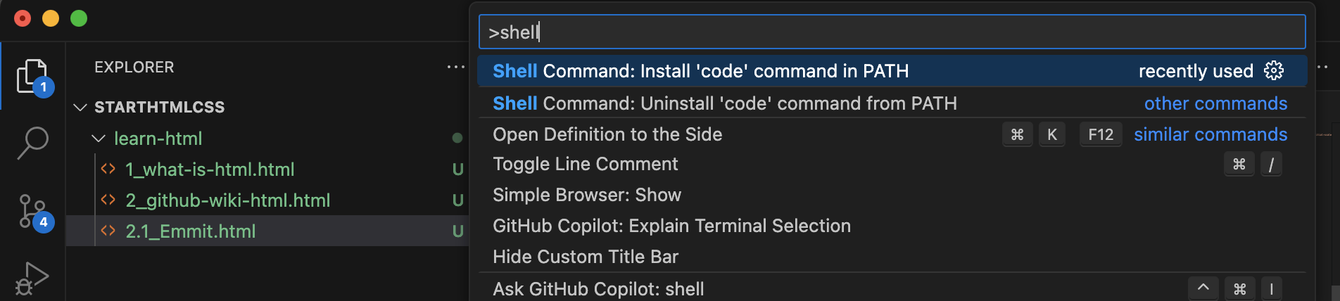 Terminal에서 VSC 열기