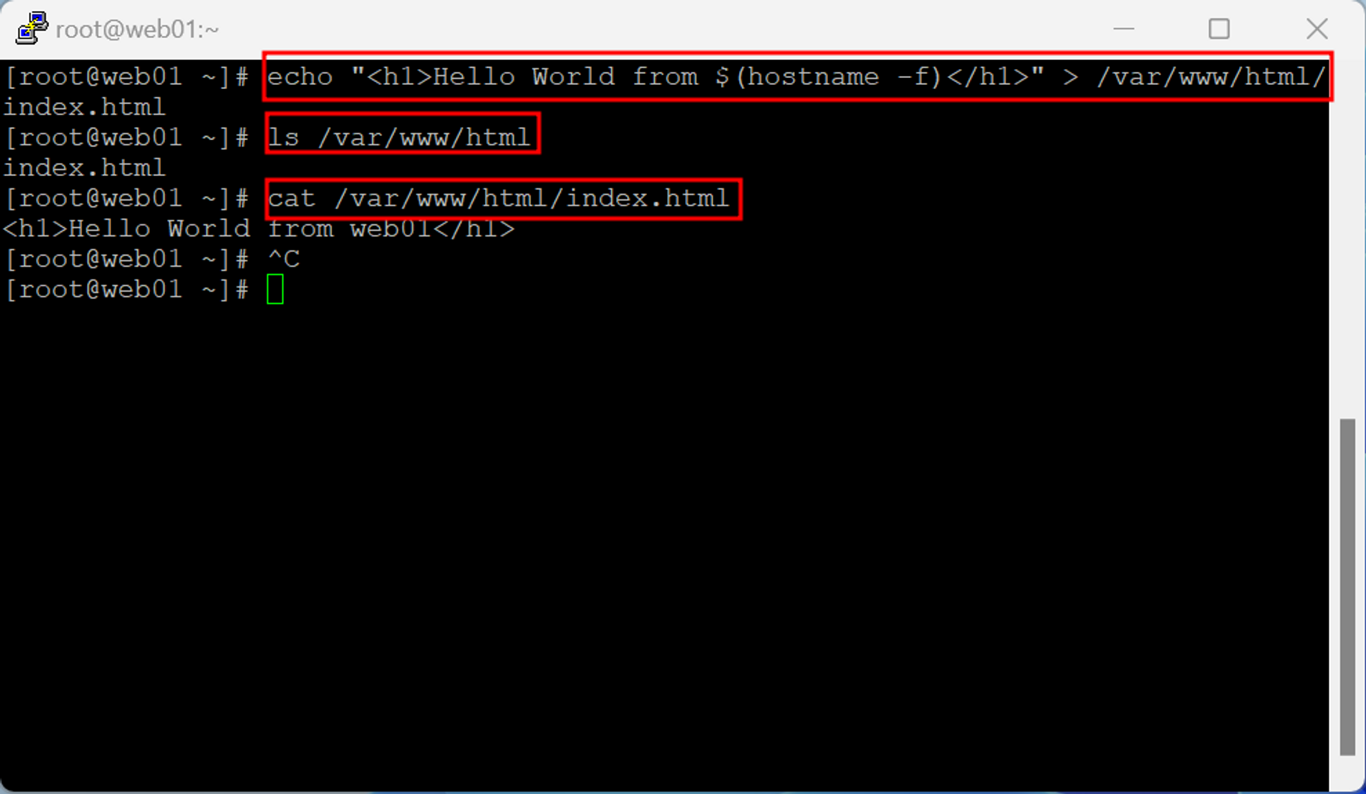 kt cloud T&C 7월 Basic(기초) 교육 1일차