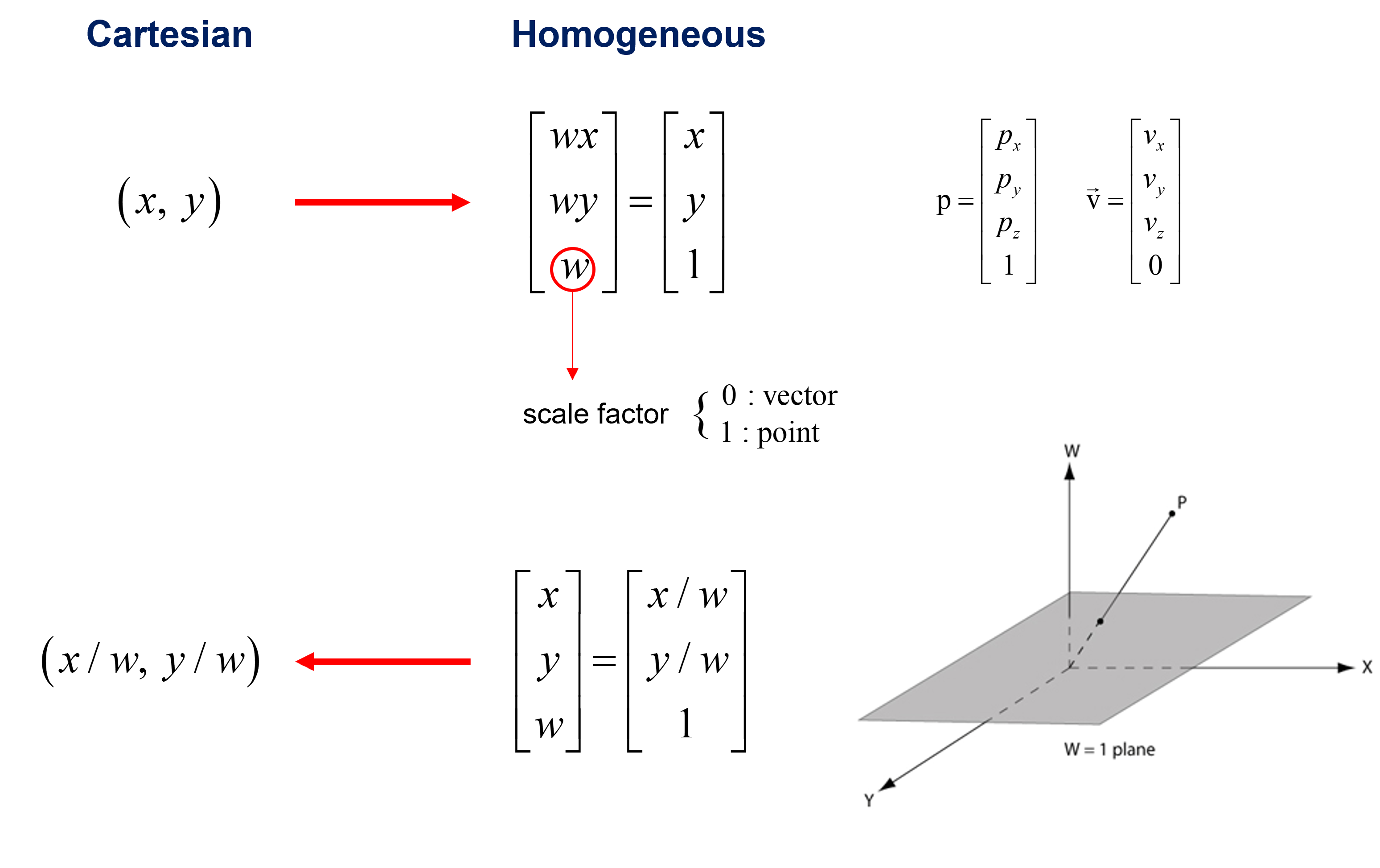 Homogeneous Coordinates Homogeneous Coordinates