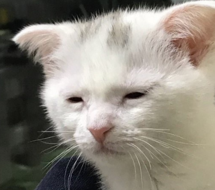 BEYOND SW 캠프 15기 4주차 회고