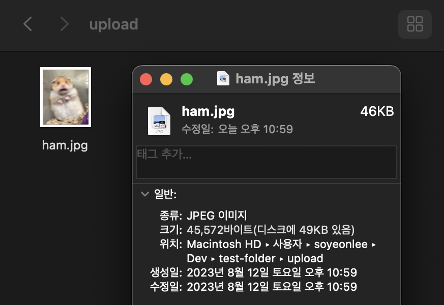 [JavaScript] FormData 파일 업로드