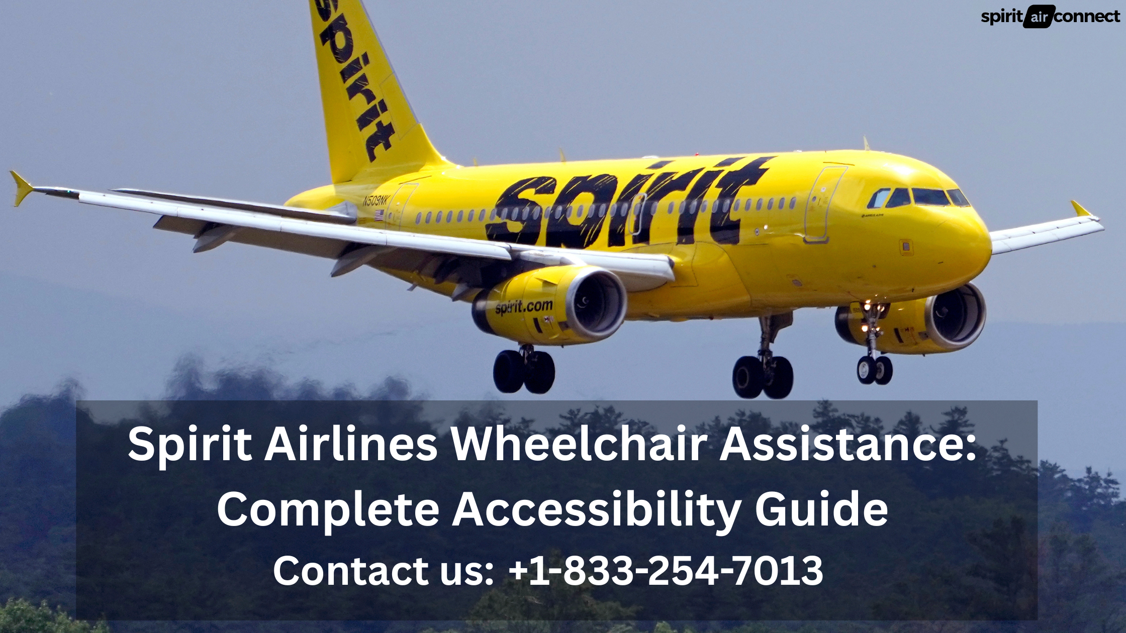 Spirit Airlines Wheelchair Assistance: Complete Accessibility Guide