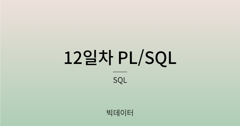 빅데이터 12. PL/SQL