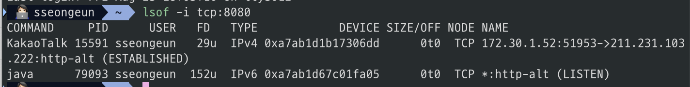 [Error] 8080 already in use