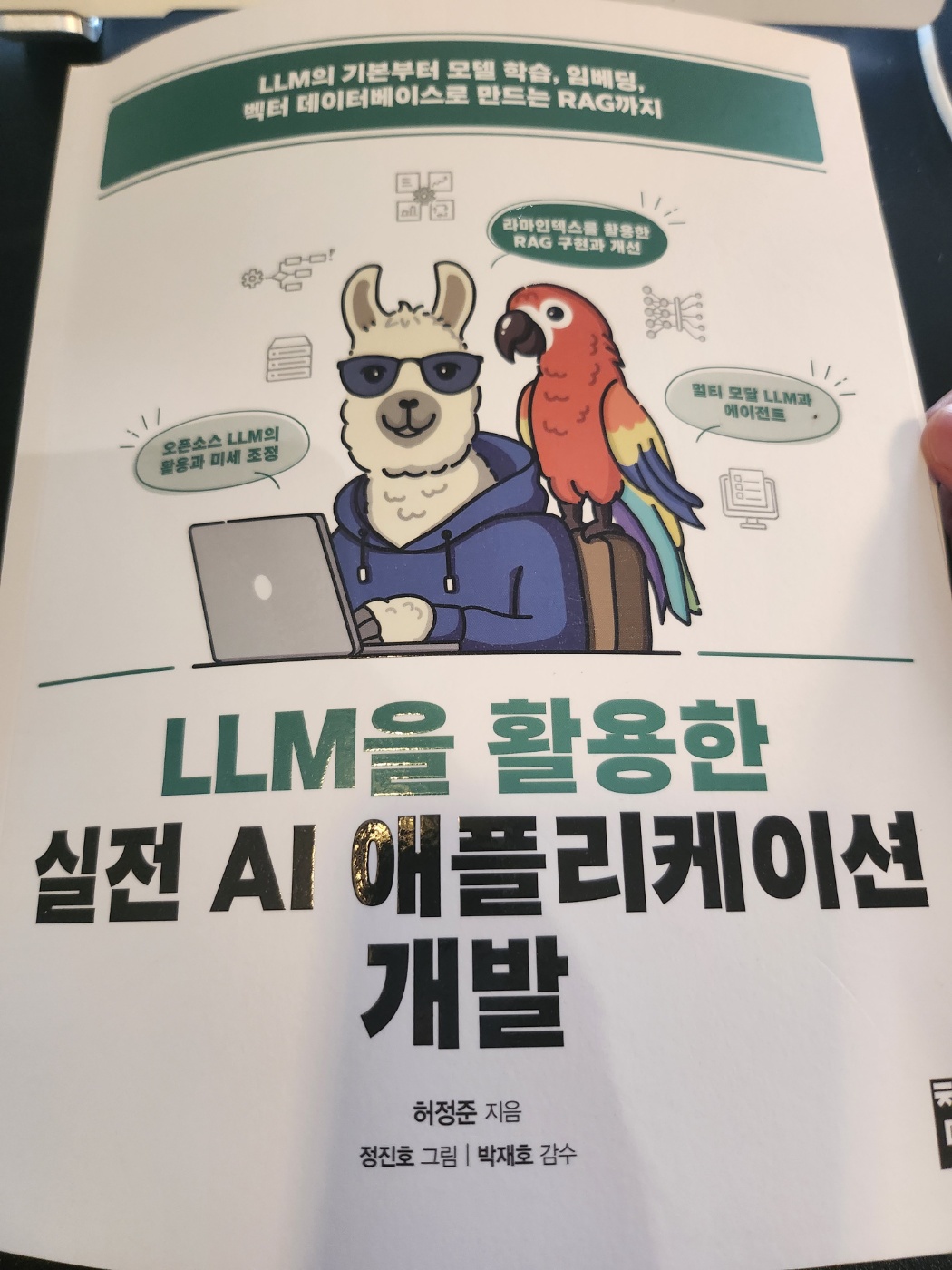 LLM을 활용한 실전 AI애플리케이션 개발 책 안읽지만 읽어보자