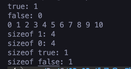 [C/C++] 자료형 bool