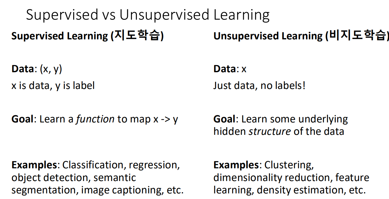 Deep Neural Network - Self-supervised Learning
