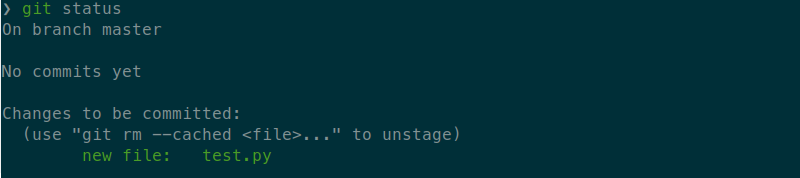 Git | Git 초기 세팅 및 add, commit, push 해보기