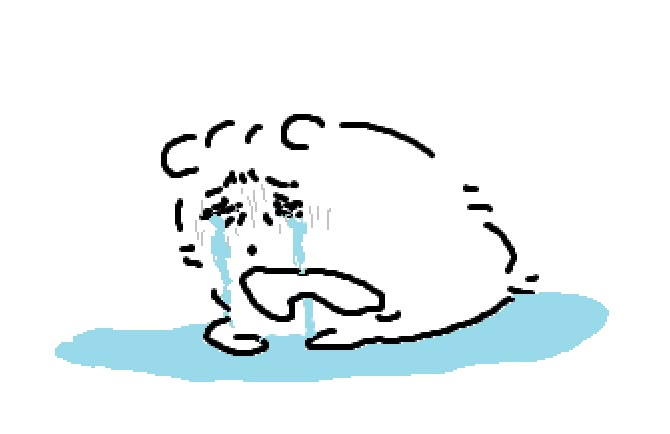 git으로 study 내용 commit하기