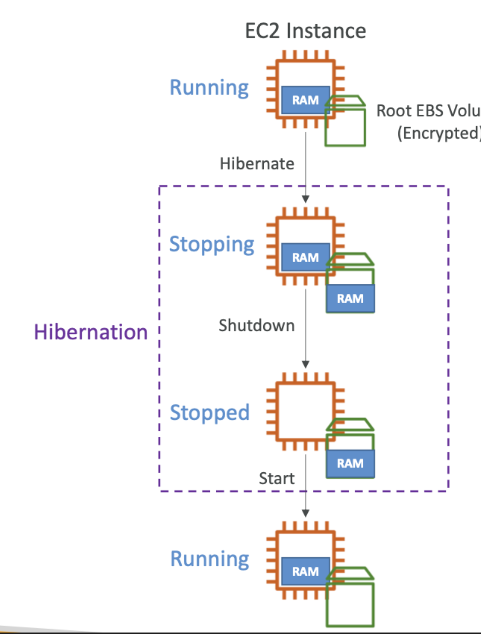 [AWS SAA] 1. EC2 & EBS
