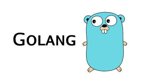 [Golang] Json 파싱을 위한 구조체 자동 생성방법